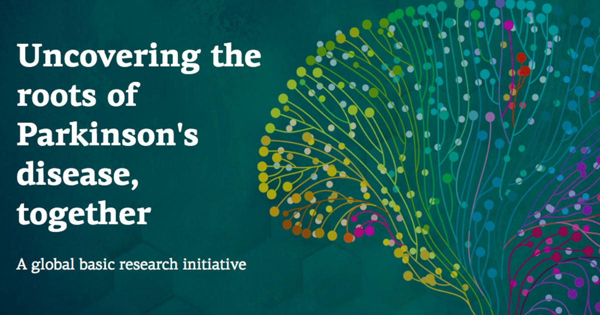 Cryo-EM map of recombinant K58N alpha-synuclein fibrils - Aligning ...