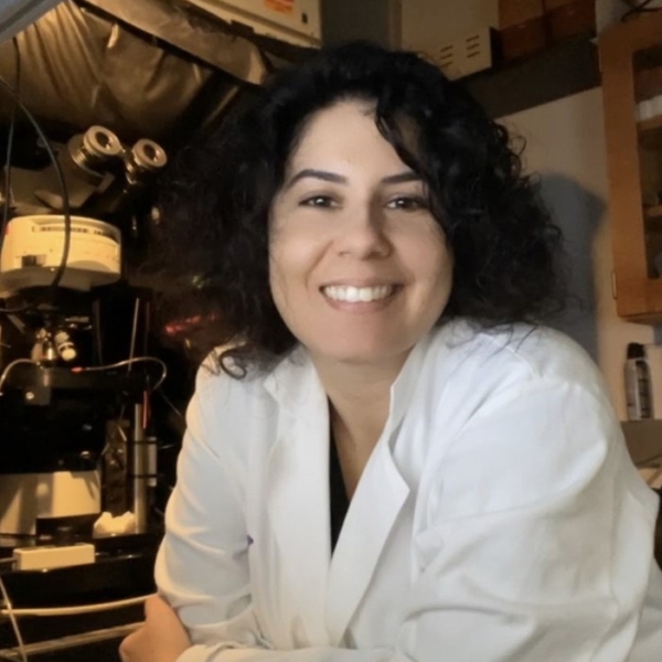 Disrupted sleep-wake regulation in the MCI-Park mouse model of ...