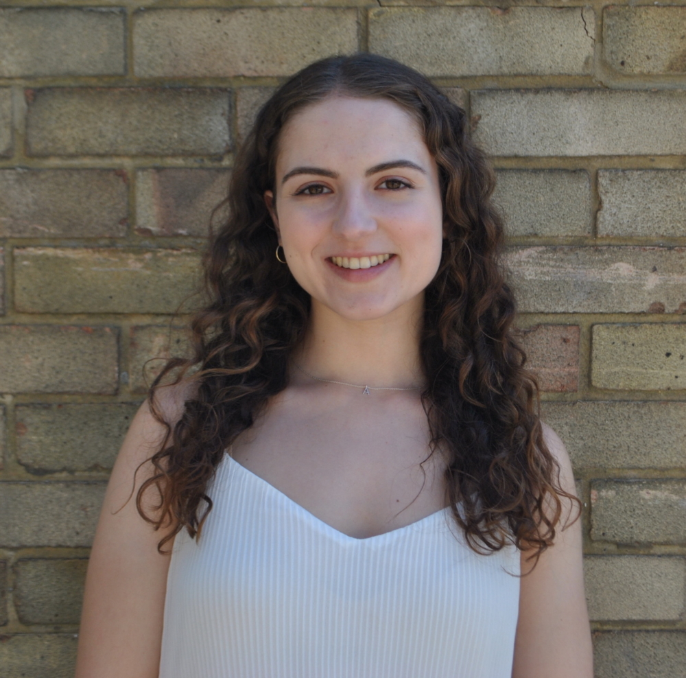 Protein aggregation and calcium dysregulation are hallmarks of familial ...