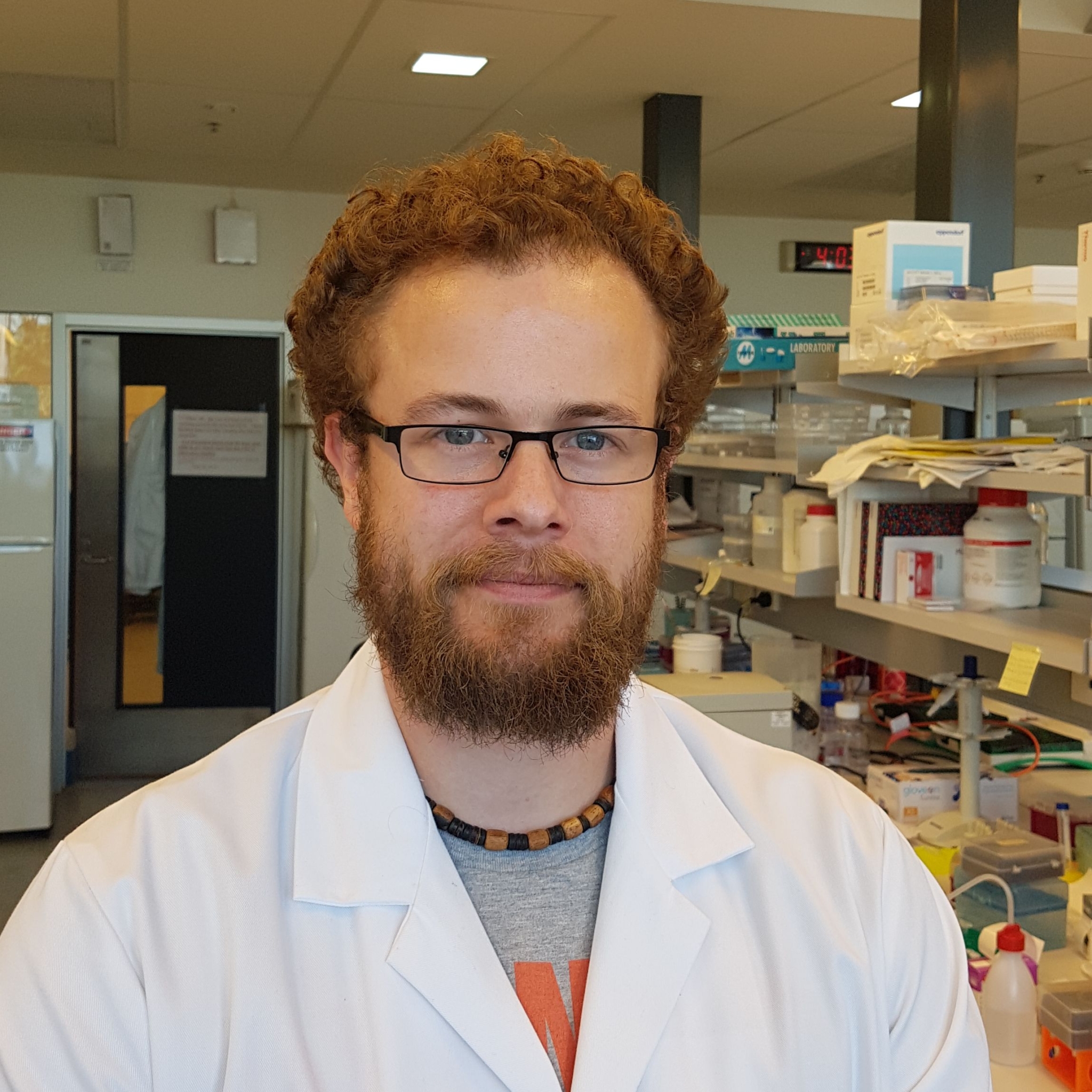 BenPadman/AIVE: AIVE release 1_Basic scripts and macros for implementing AIVE: AI-directed Voxel ...