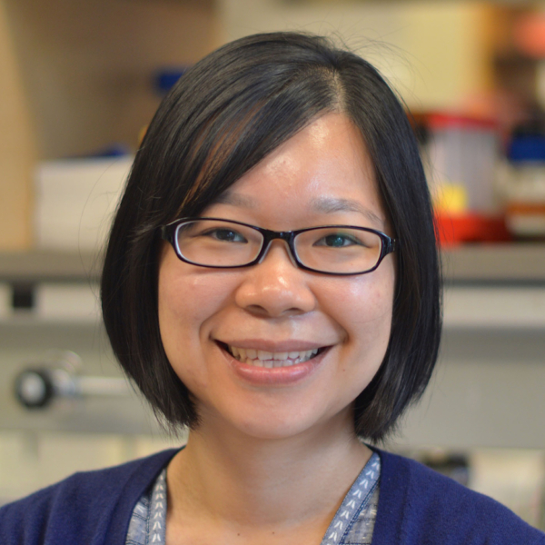 Induced Cortical Neuron Differentiation - Part 1 - Overview - Aligning ...